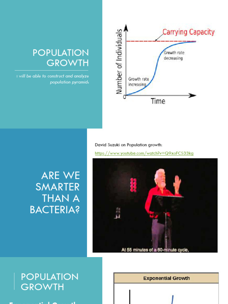 PE.3 Population Growth & Population Pyramids | PDF | Population Growth ...