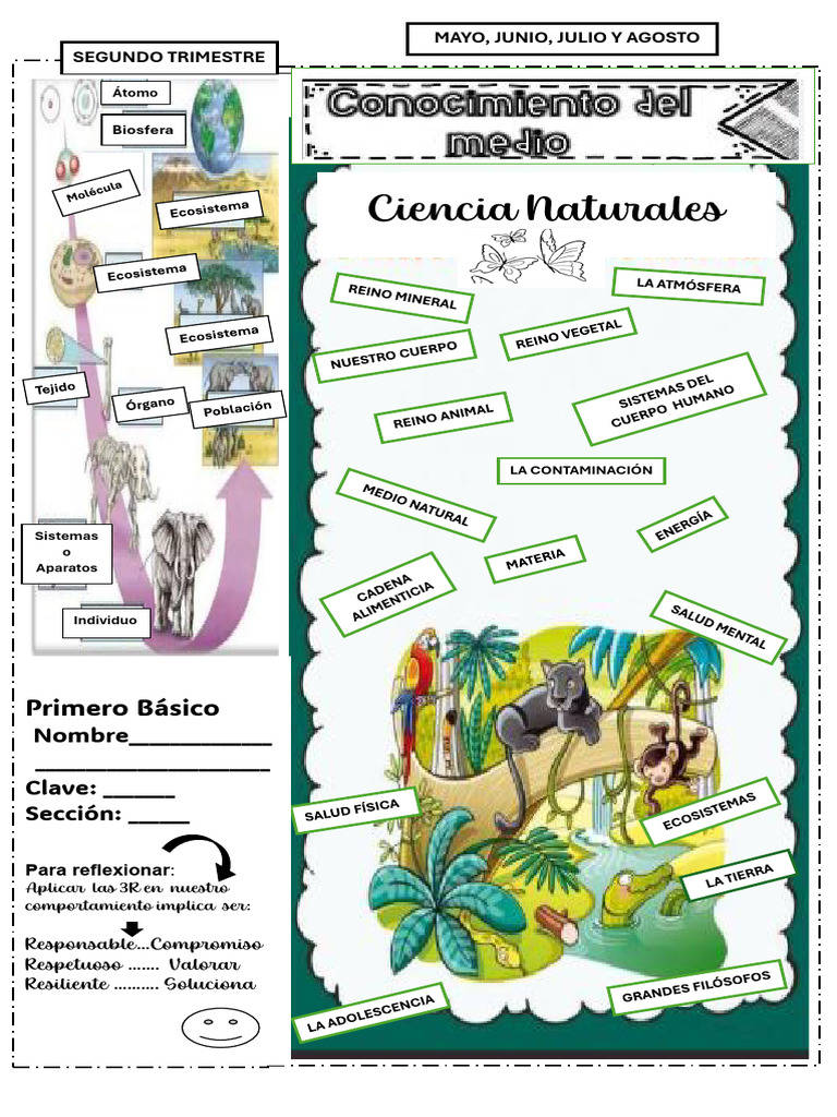 Caratula Segunda Unidad 25 | PDF