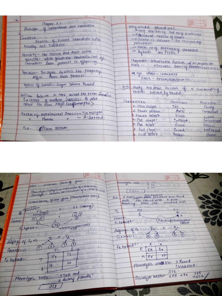 Botany and Zoology Note | PDF