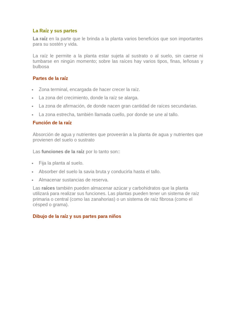 La Raíz y Sus Partes | PDF | Tallo de la planta | Raíz