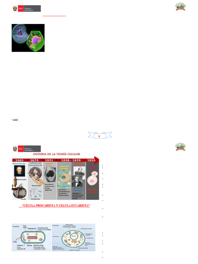 Ficha-2 - 4° Teoría Celular-Celula | PDF | Biología Celular) | Citoplasma