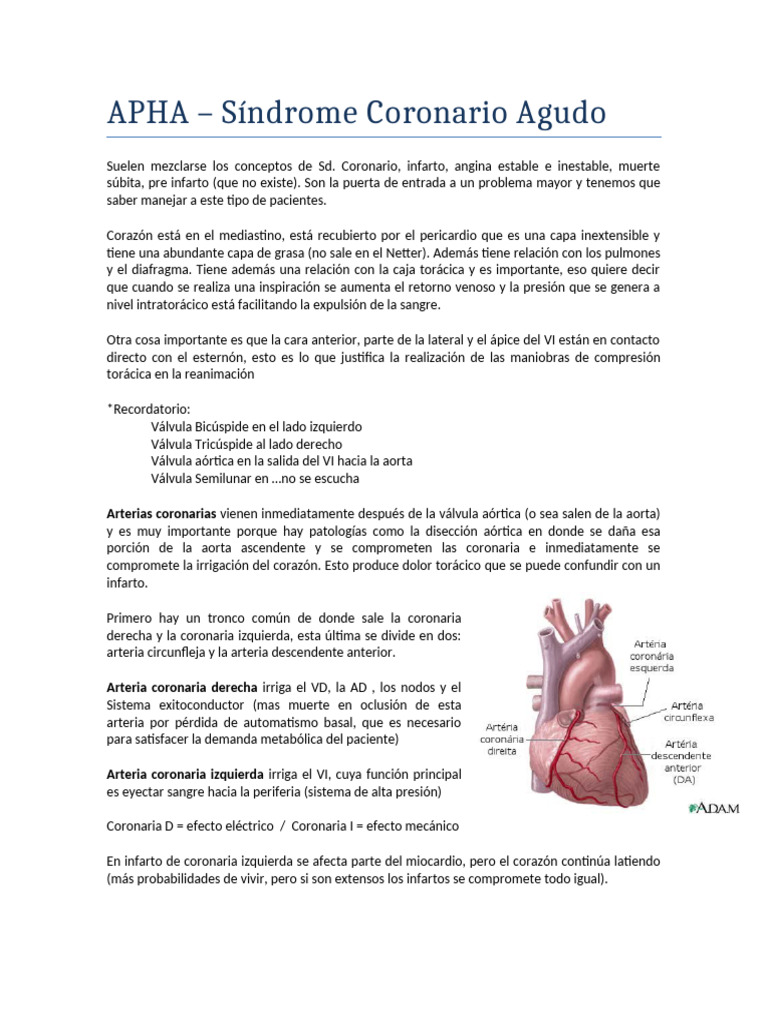 Apha - Sca | PDF | Corazón | Infarto de miocardio