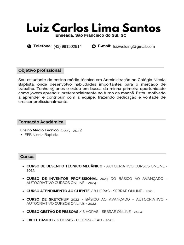 Currículo Luiz PDF | PDF