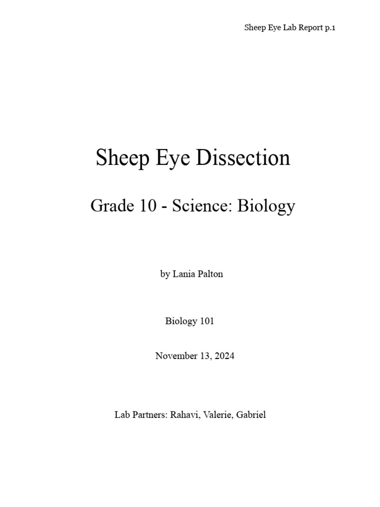 Sheep Eye Dissection Overview | PDF | Eye | Cornea