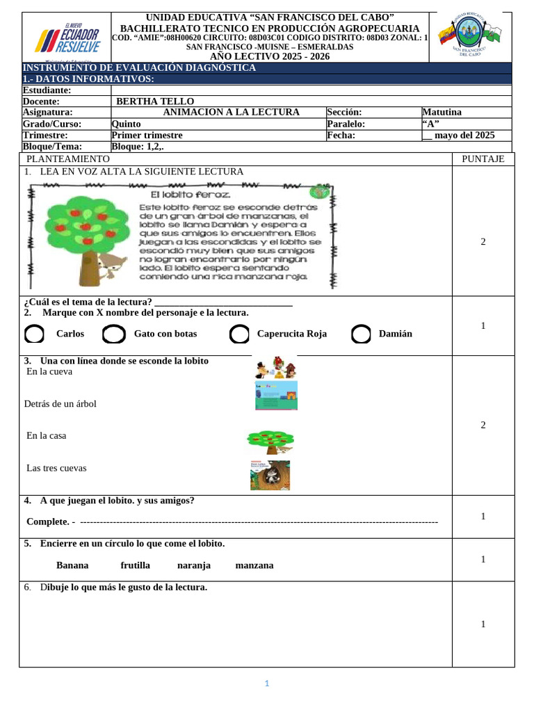Examen de Animacion A La Lectura | PDF