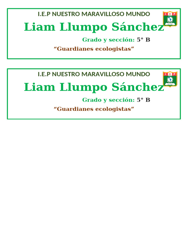 Liam Llumpo Sánchez: I.E.P Nuestro Maravilloso Mundo | PDF
