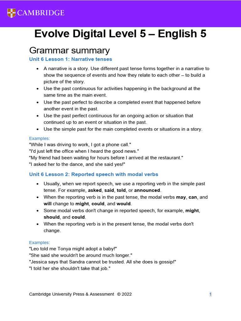 Unit 6 - E5 - Grammar | PDF