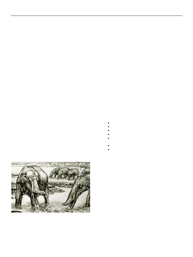 New Monsters Sample | PDF | Elephant | Angel