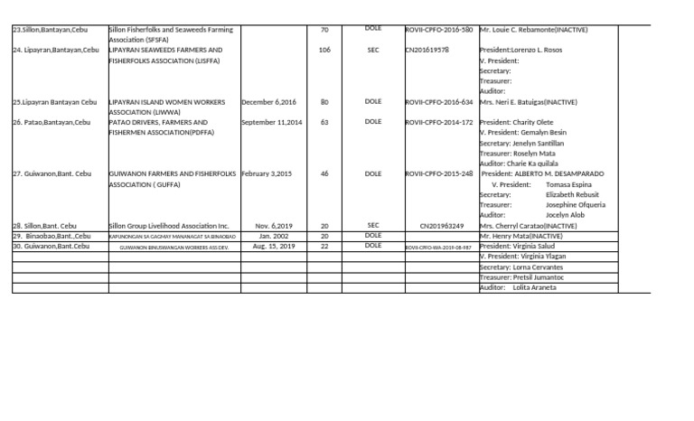 Association Profile Update For LGU Reference | PDF
