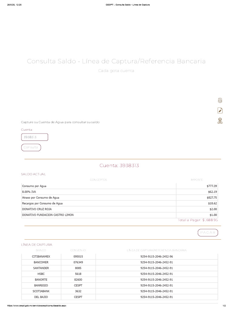 Consulta de Saldo CESPT en Línea | PDF