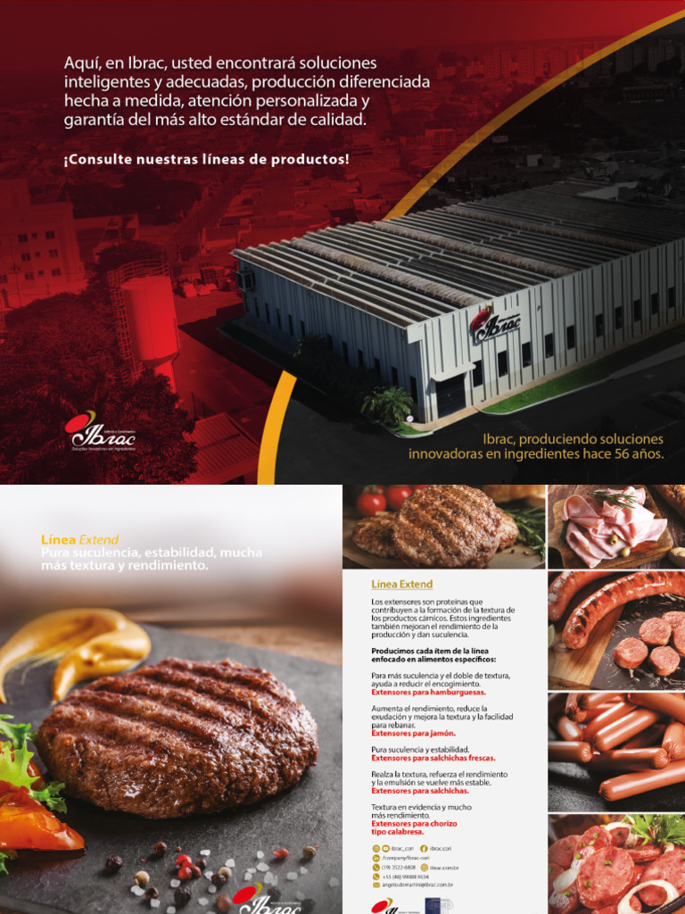 Folder Ibrac Web Esp | PDF