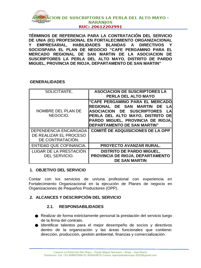 TDR Servicio Prof Ffoo-La Perla | PDF