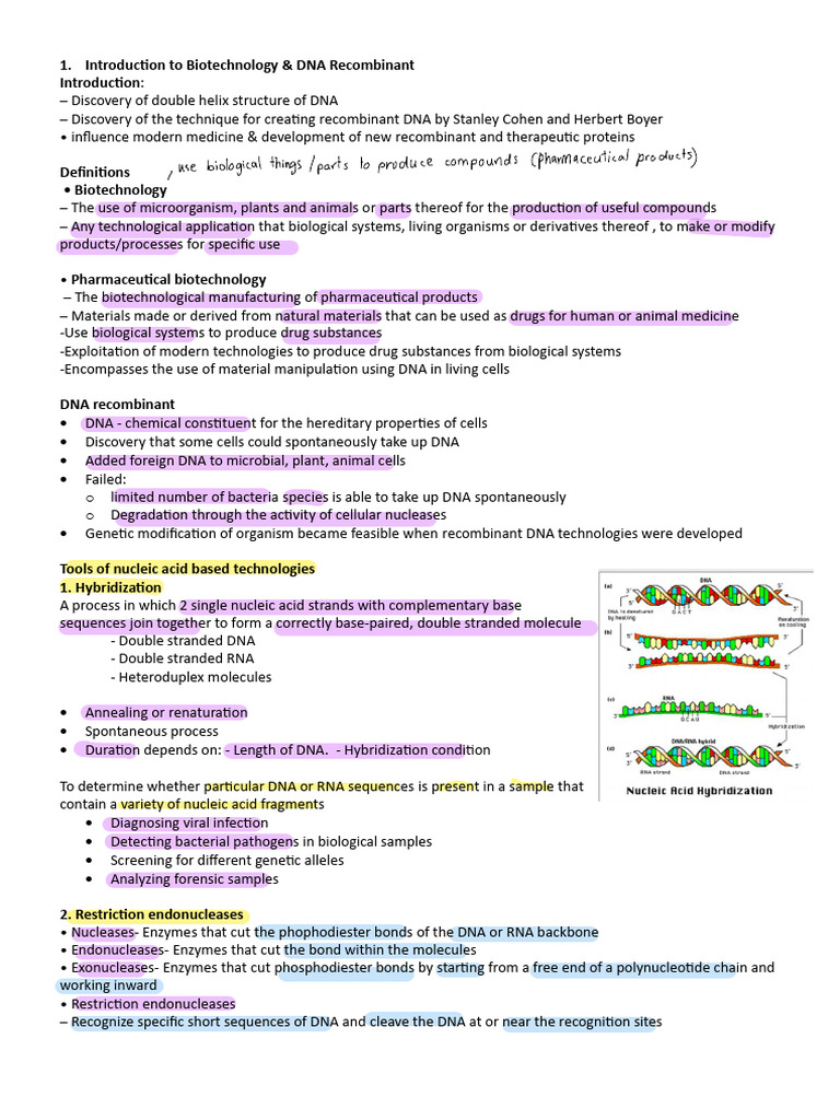 Midsem (1-3) | PDF | Gel Electrophoresis | Dna