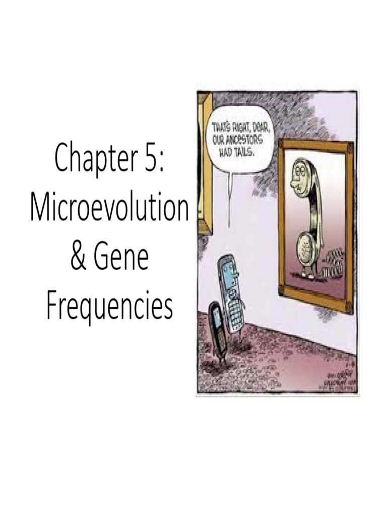 Microevolution and Gene Frequencies Explained | PDF | Natural Selection ...