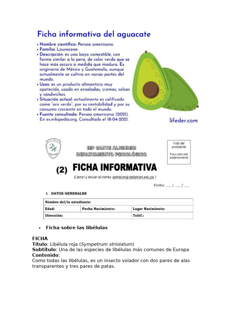 Ficha sobre del aguacate | PDF