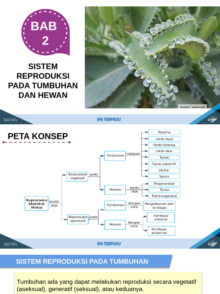 Bab 2 Sistem Reproduksi Pada Tumbuhan Dan Hewan | PDF
