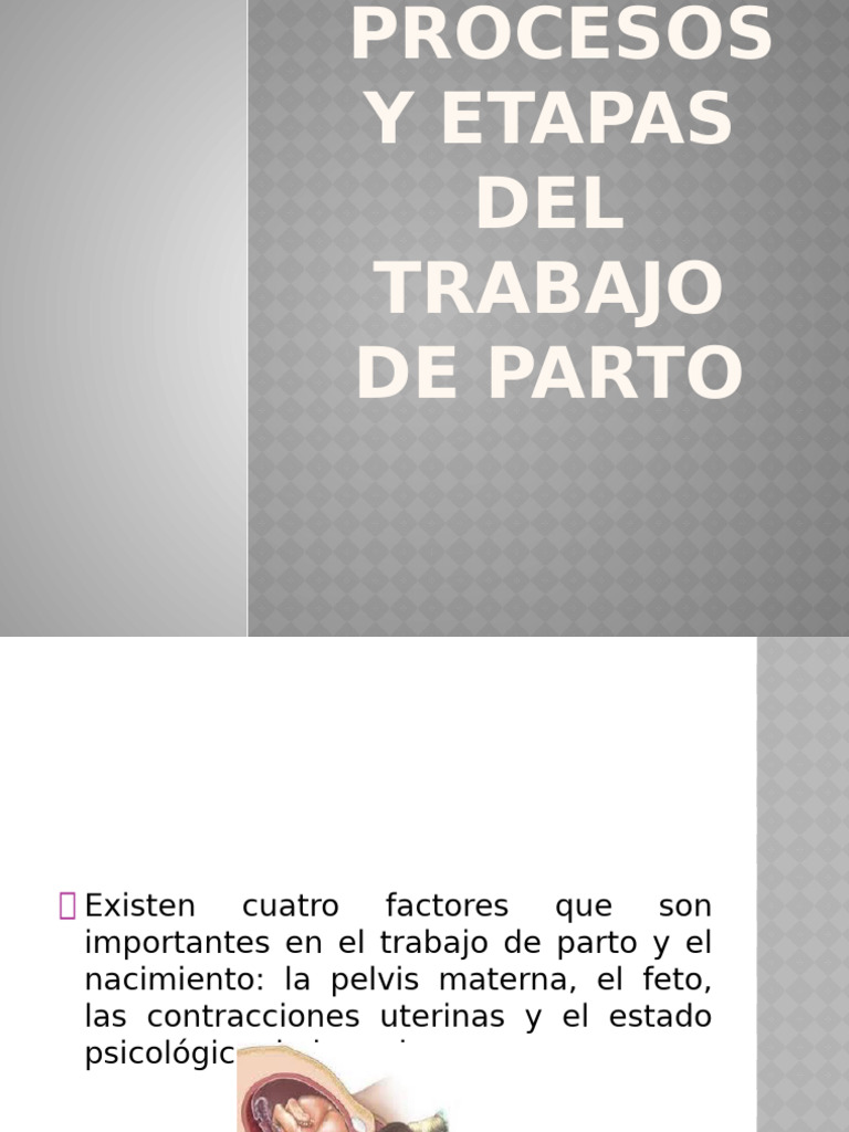 Procesos y Etapas Del Trabajo de Parto | PDF | Parto | Pelvis