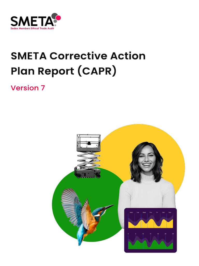 SMETA 7 Example CAPR Report 1 | PDF | Labour Law | Audit