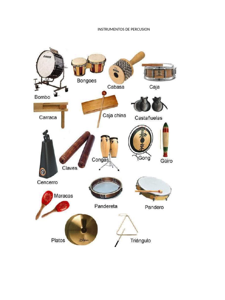 Instrumentos de Percusion | PDF
