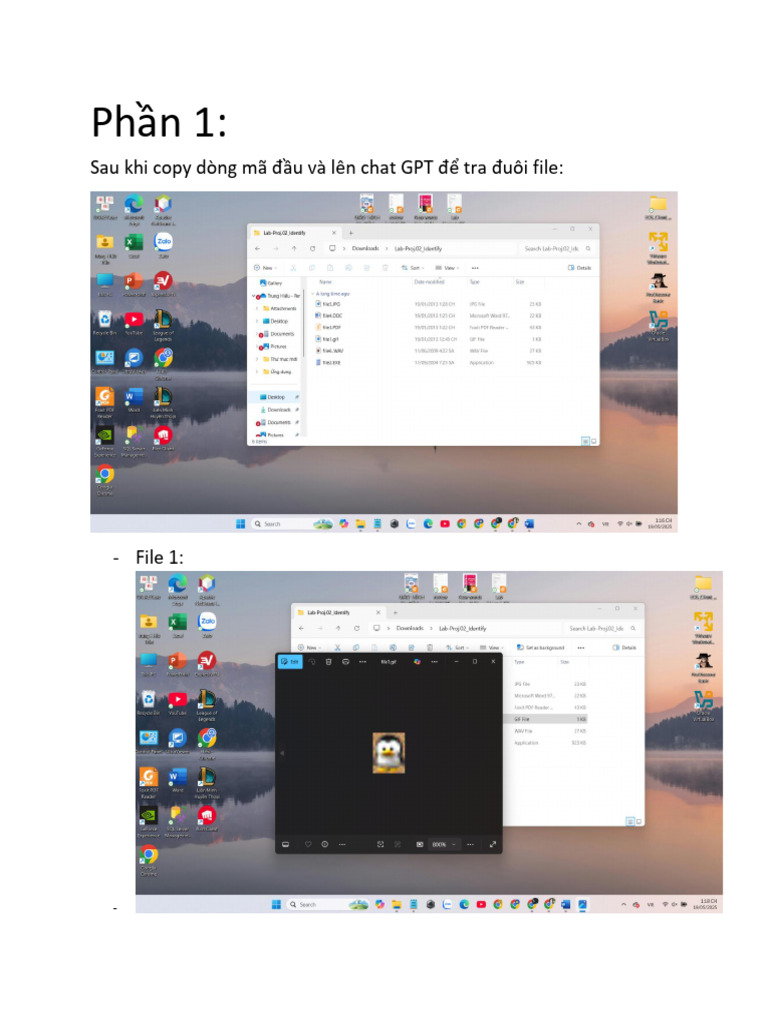 Tran Trung Hieu | PDF