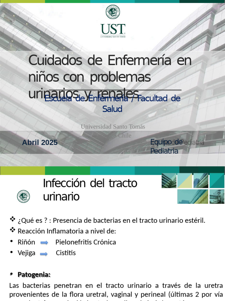 Itu-Rvu | PDF | Infección del tracto urinario | Sistema urinario