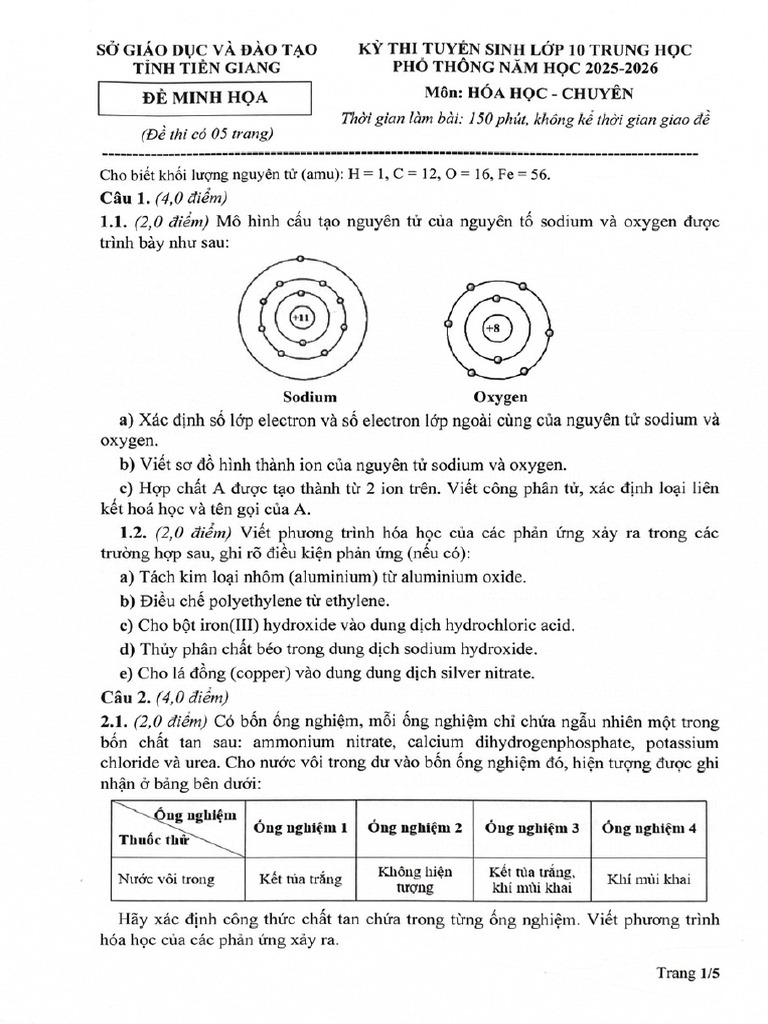 8 de Dapan Hoahoc Chuyen | PDF