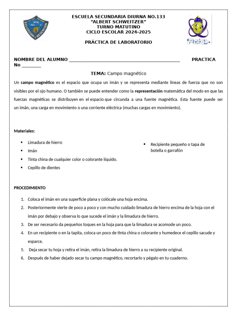 Practica Campo Magnetico | PDF