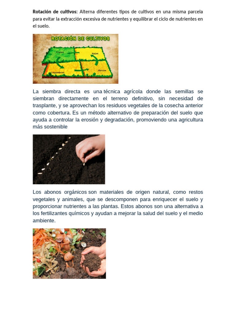 Rotación de Cultivos | PDF