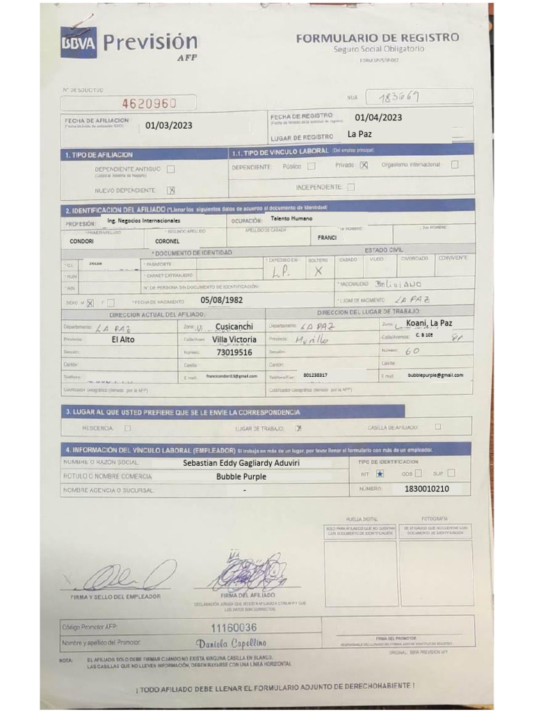 Previsión AFP | PDF