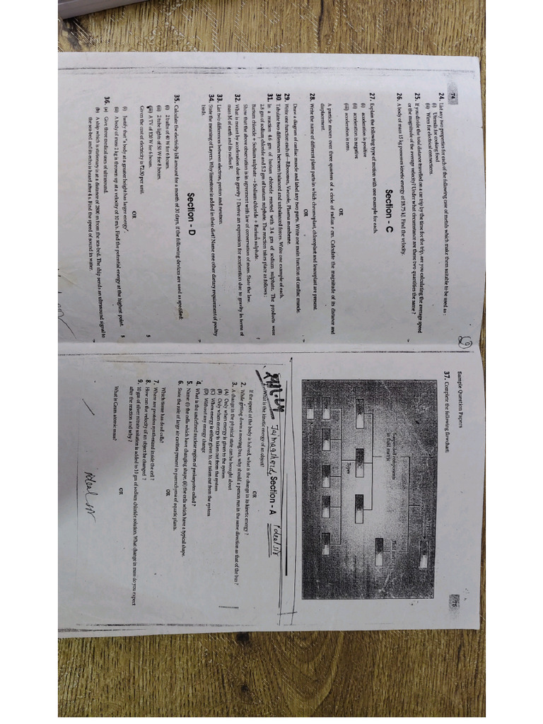Science of Class 9th Test Paper | PDF