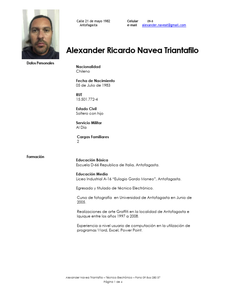 CV Alexander Navea T. | PDF