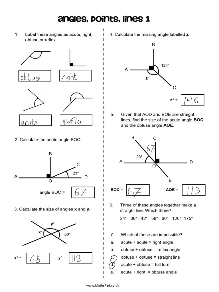 Angles Lines Points | PDF | Elementary Geometry | Euclidean Geometry