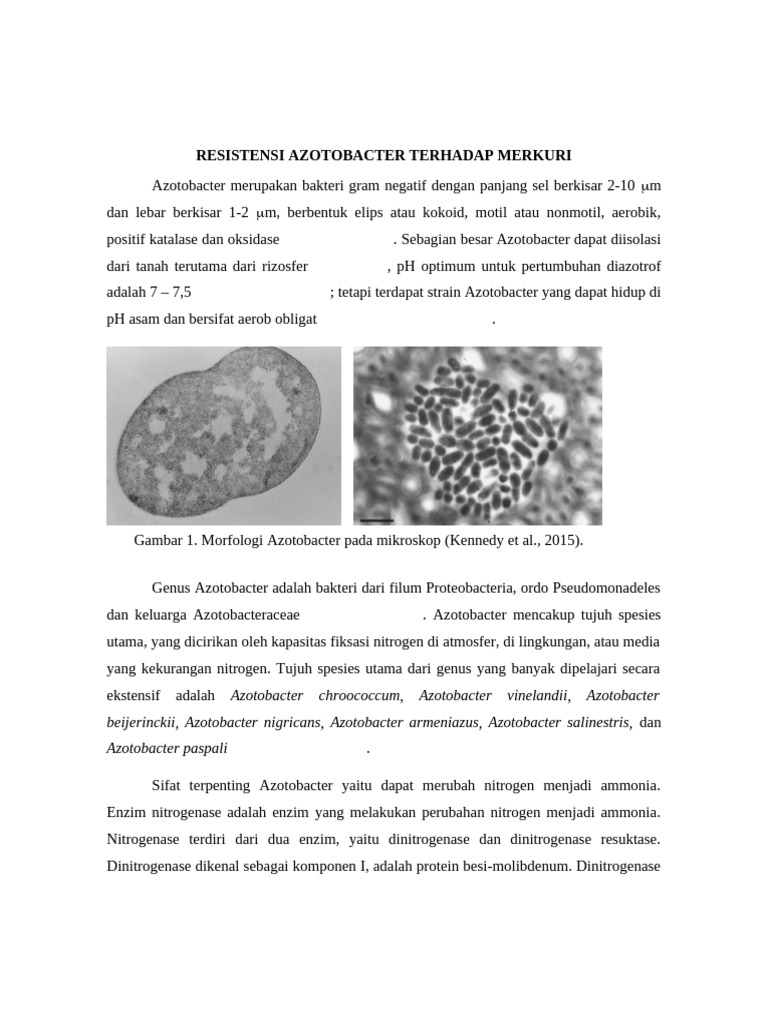 Review Jurnal Resistensi Azotobacter | PDF