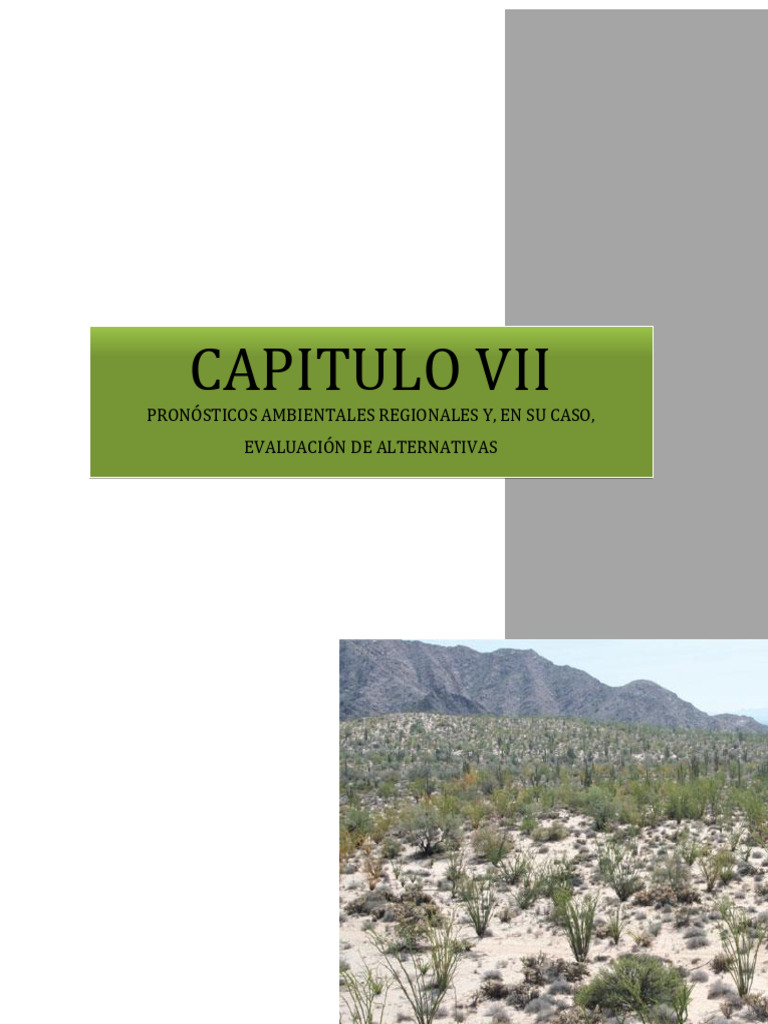 Cap VII - Proyecto Samalayuca-Sasabe - Dic15F | PDF | Entorno natural ...