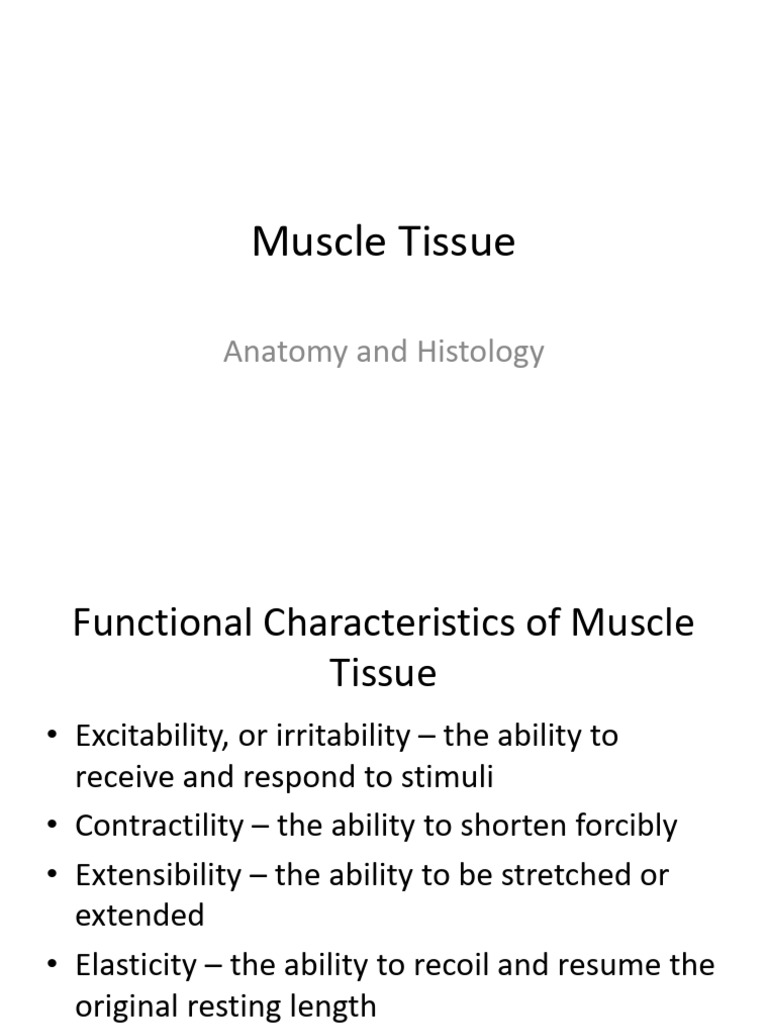 Muscle Tissue-Wk 10 | PDF | Muscle Contraction | Skeletal Muscle