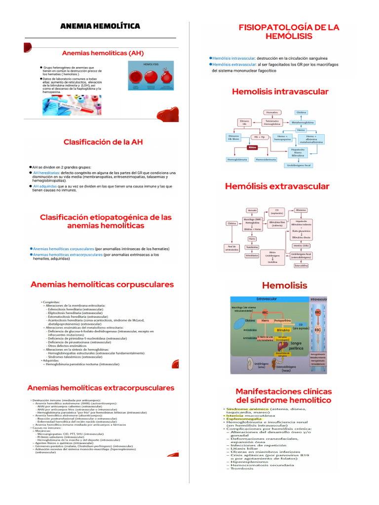 Anemia Hemolítica | PDF