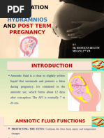 Upper Quarter Screen Template | PDF | Science & Mathematics