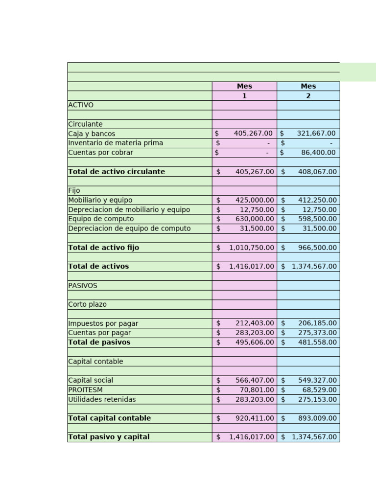 Balance General Anual 2024 | PDF