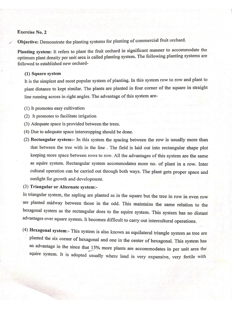 Orchard Planting System | PDF