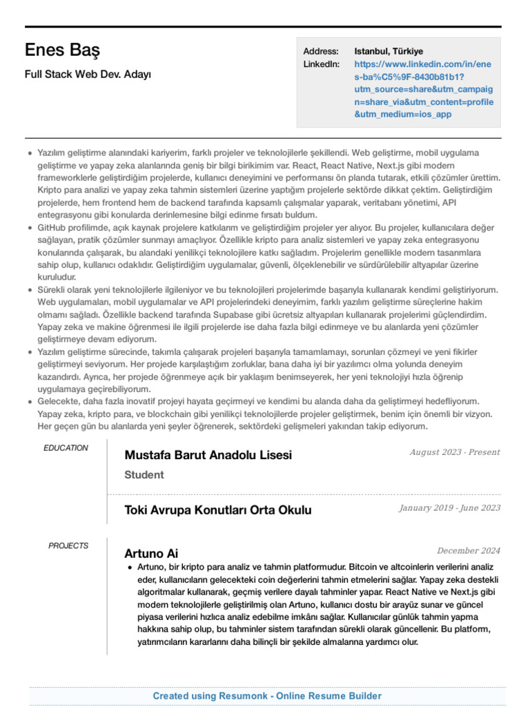 Enes Baş: Full Stack Web Dev. Adayı | PDF