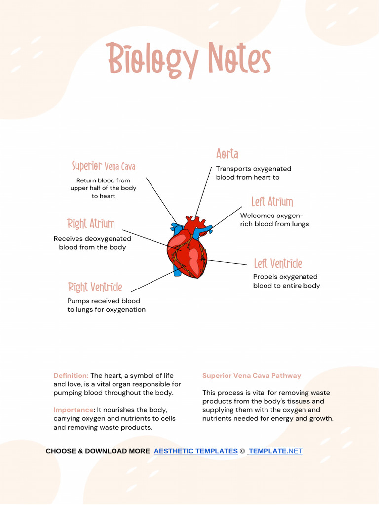 Aesthetic Digital Note Template | PDF