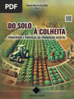 Gramatica 5 e 6 Classe | PDF