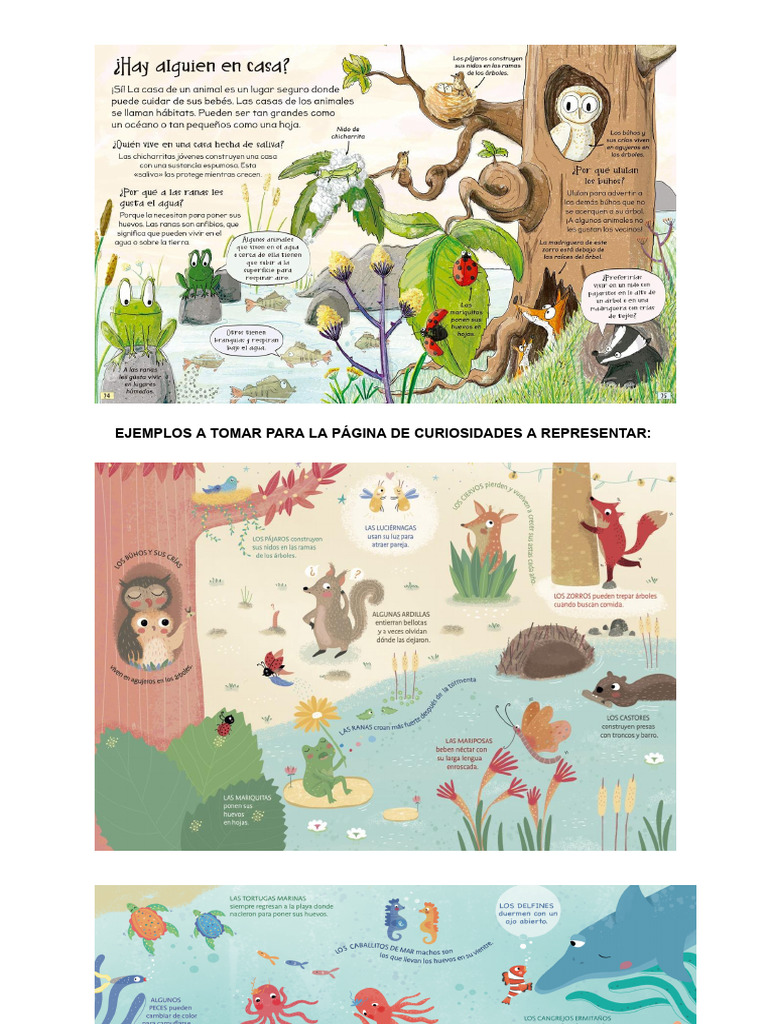 SIC SAC SUC Moodboard | PDF