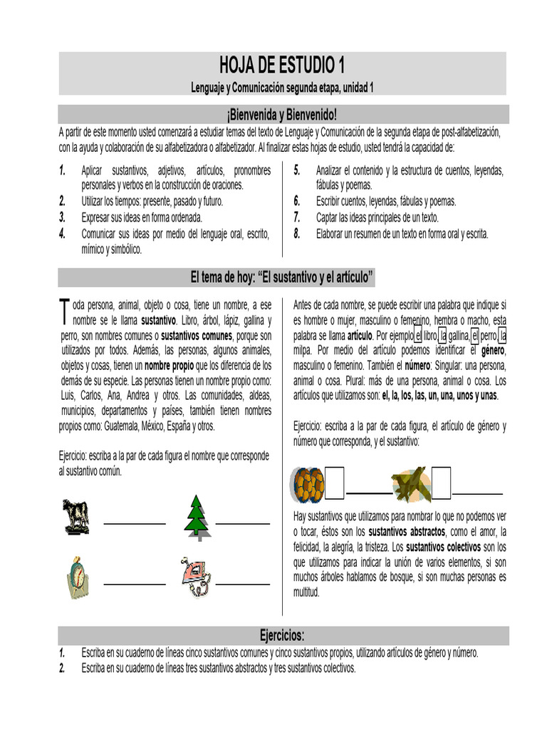 Clase 1 El Sustantivo y El Artículo | PDF | Sustantivo | Género gramatical