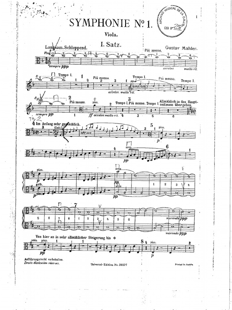 VIOLA | PDF