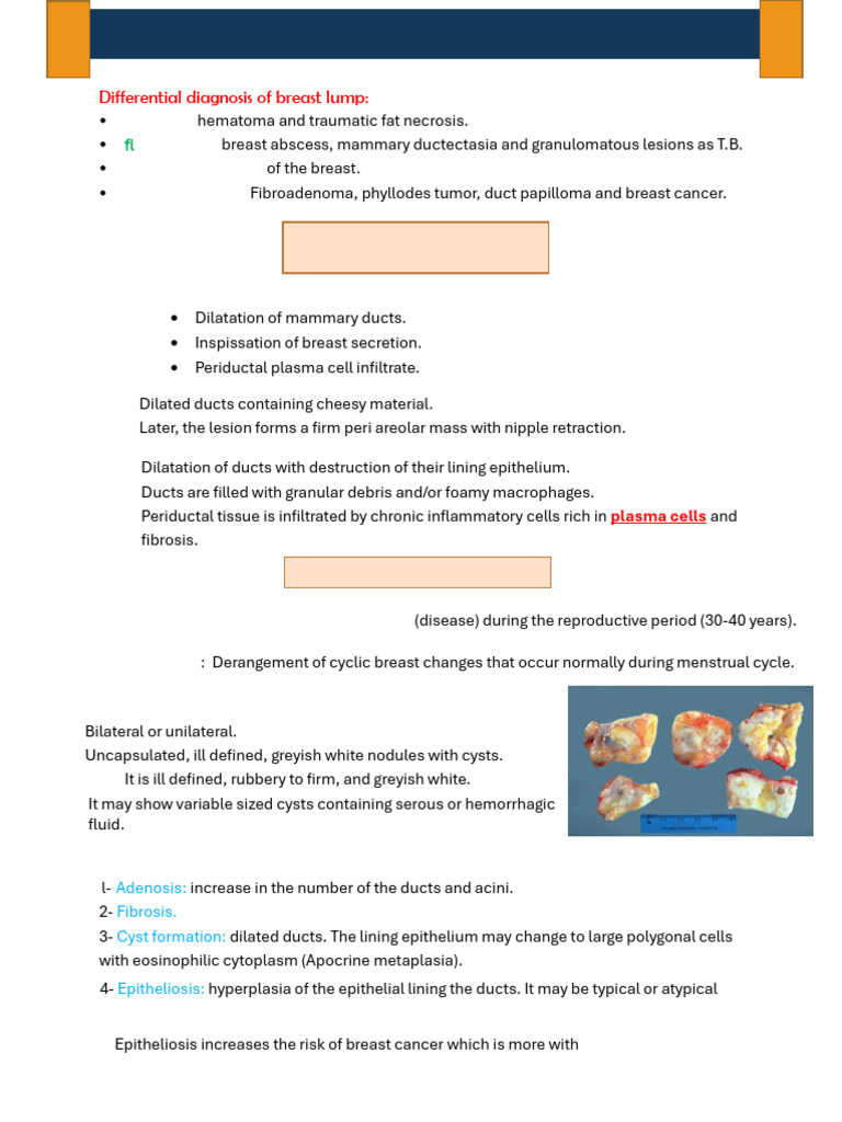L37 Diseases of The Breast HDOT (Patholgy-6) | PDF | Breast Cancer | Neoplasms