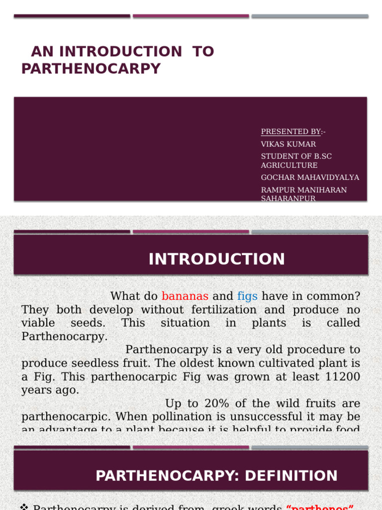Parthenocarpy 200726071040 | PDF | Fruit | Plants