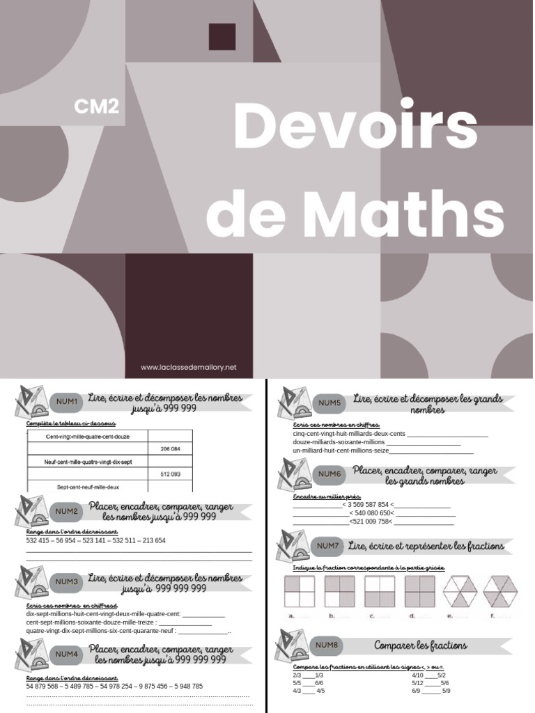 Devoirs de Mathématiques CM2 | PDF | Mathématiques | Arithmétique