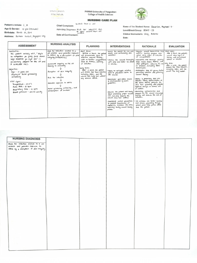 NCP & Drug Study | PDF