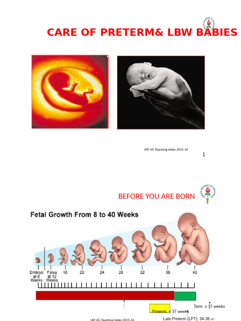 Care for Preterm and LBW Infants | PDF | Preterm Birth | Prenatal ...